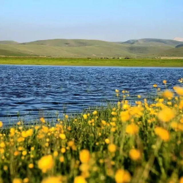 定西的四季盛景，藏着你不能错过的陇中浪漫_丝绸之路国际文化博览网